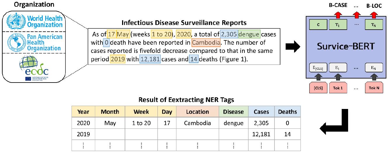 Survice-BERT: A BERT Model for Named Entity Recognition in Infectious ...
